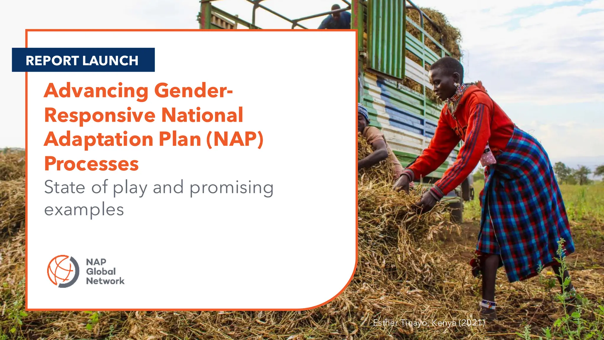 Advancing Gender-Responsive NAP Processes | PDF