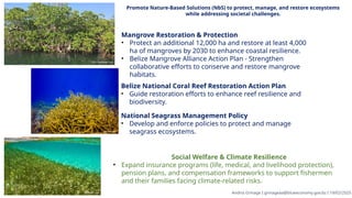 Webinar NbS-EbA in National Adaptation Plan (NAP) Processes | PPTX