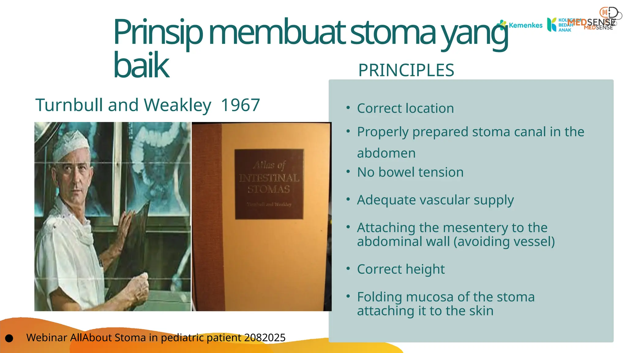 Presentasi stoma dengan template final - pembelajaran tentang stoma ...