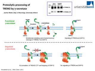 Jochen Walter Webinar July 2014 | PPT