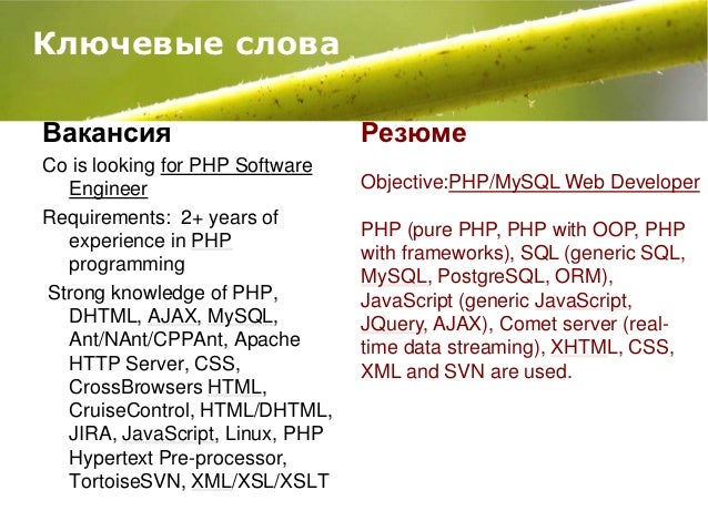 Обучение ИТ рекрутера -путь мирного воина