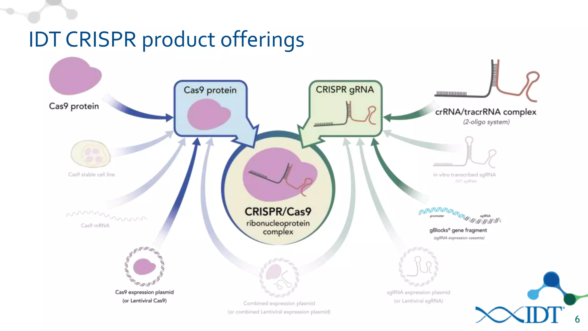 Alt-R™ CRISPR-Cas9 System: Ribonucleoprotein delivery optimization for ...