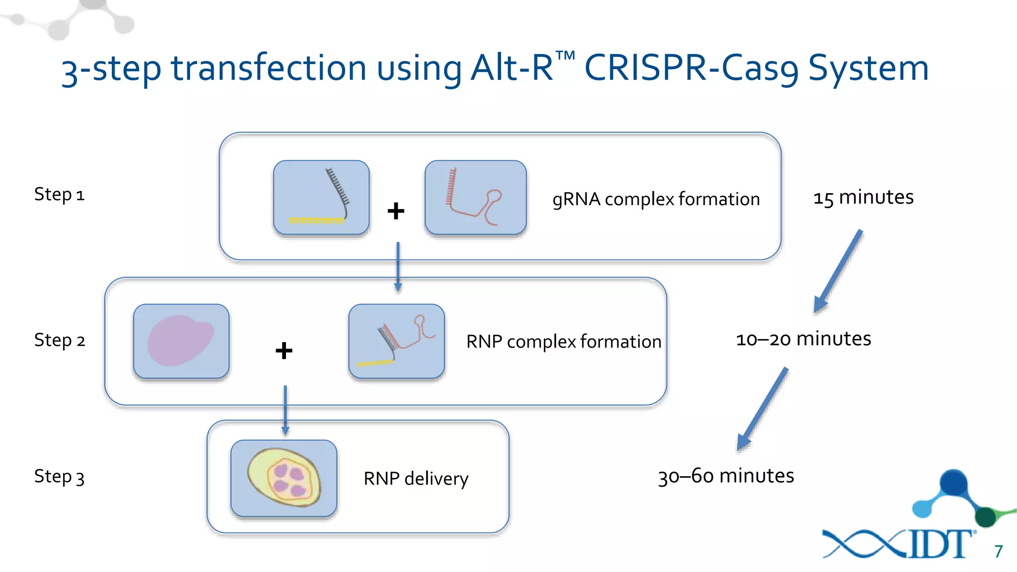 Alt-R™ CRISPR-Cas9 System: Ribonucleoprotein delivery optimization for ...