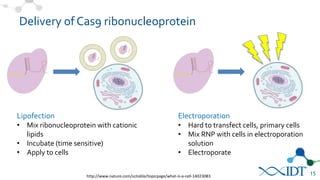Alt-R™ CRISPR-Cas9 System: Ribonucleoprotein delivery optimization for ...