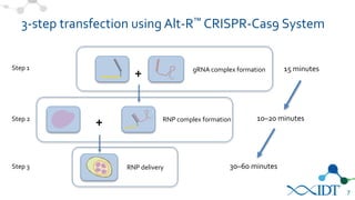 Alt-R™ CRISPR-Cas9 System: Ribonucleoprotein delivery optimization for ...