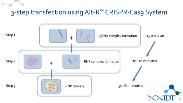 Alt-R™ CRISPR-Cas9 System: Ribonucleoprotein delivery optimization for improved genome editing ...