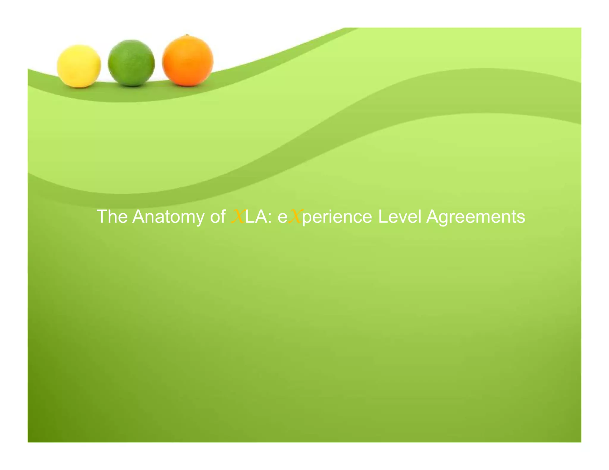 The Anatomy of XLA: eXperience Level Agreements | PDF