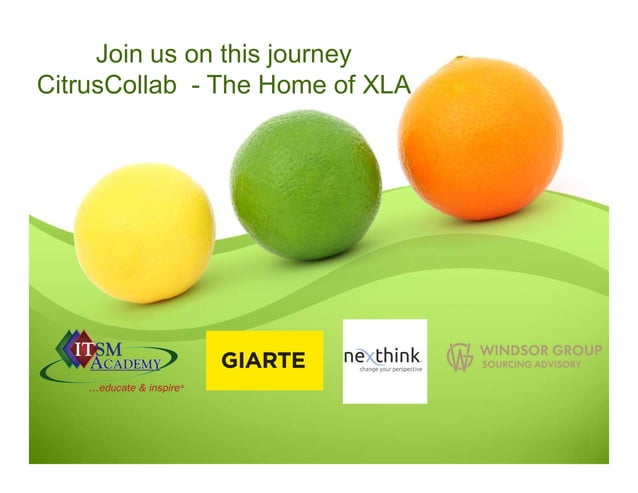 The Anatomy of XLA: eXperience Level Agreements | PDF