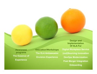 The Anatomy of XLA: eXperience Level Agreements | PDF