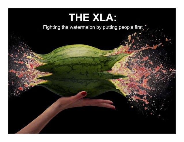 The Anatomy of XLA: eXperience Level Agreements | PDF