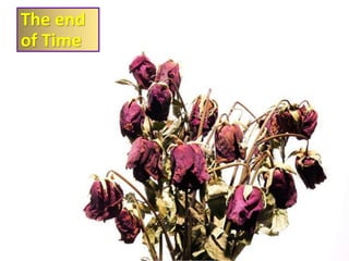 Time Management: Productivity and Time Stealers | PDF