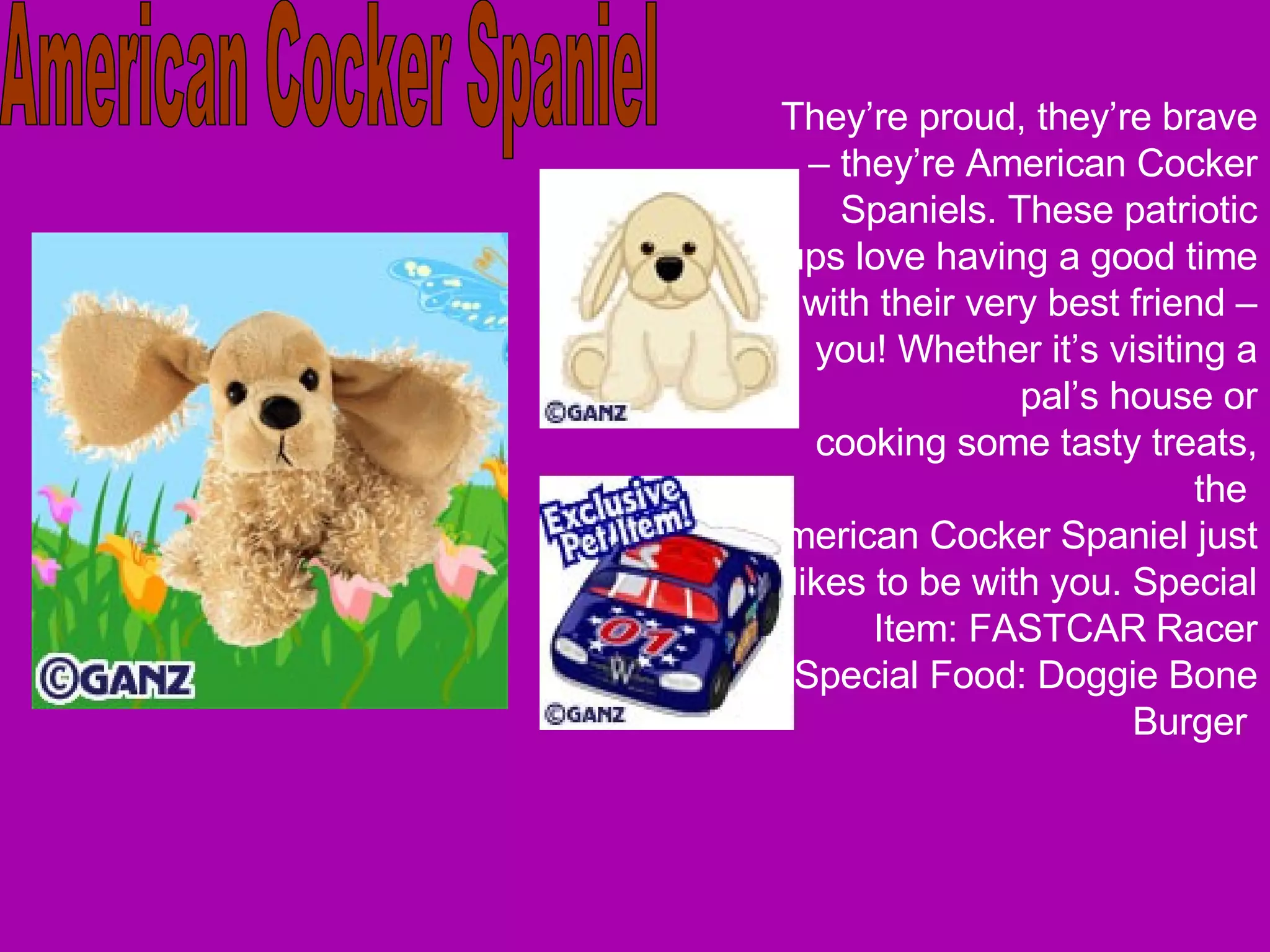 Webkinz Guide | PPT