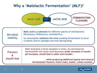 Web malolactic fermentation management with viniflora | PPT
