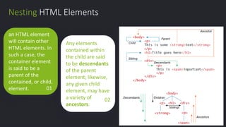 WEB Module 1.pdf