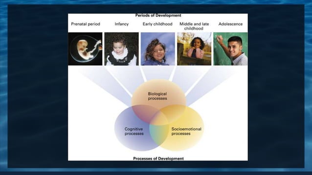 Child Psychology Module 1 Intro | PPT