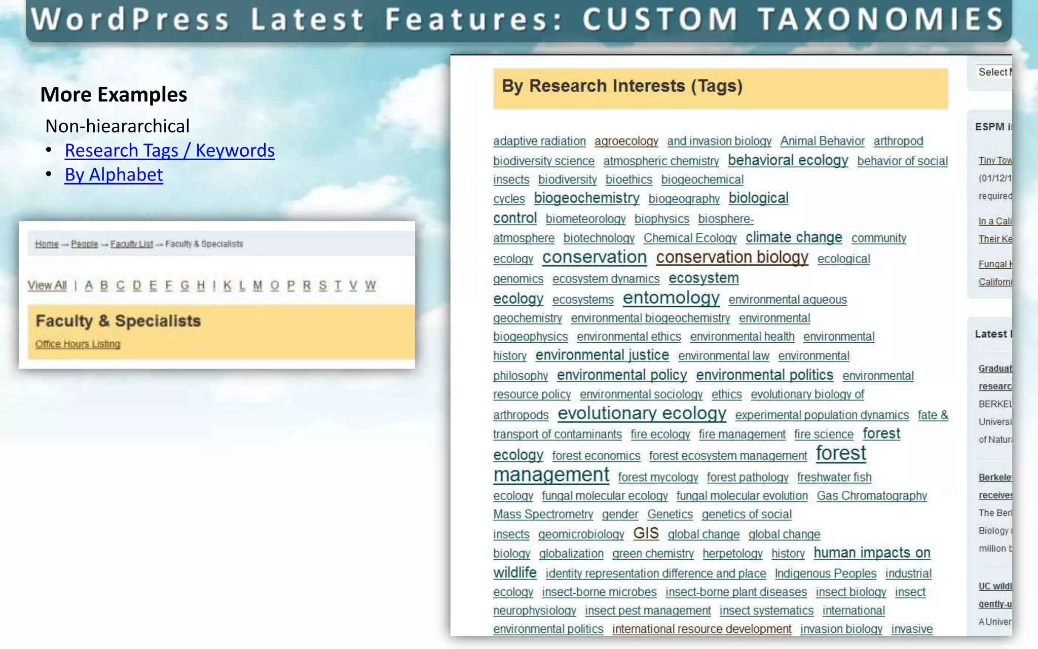 Webnet Presentation | PPSX