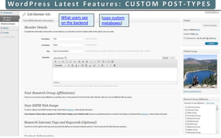 Webnet Presentation | PPT | Free Download