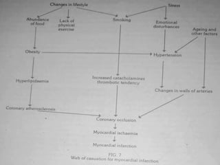 Web of causation | PPTX