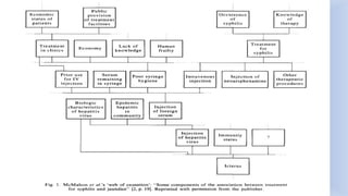 Web of causation of disease | PPT