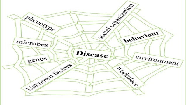 Web of causation of disease | PPT
