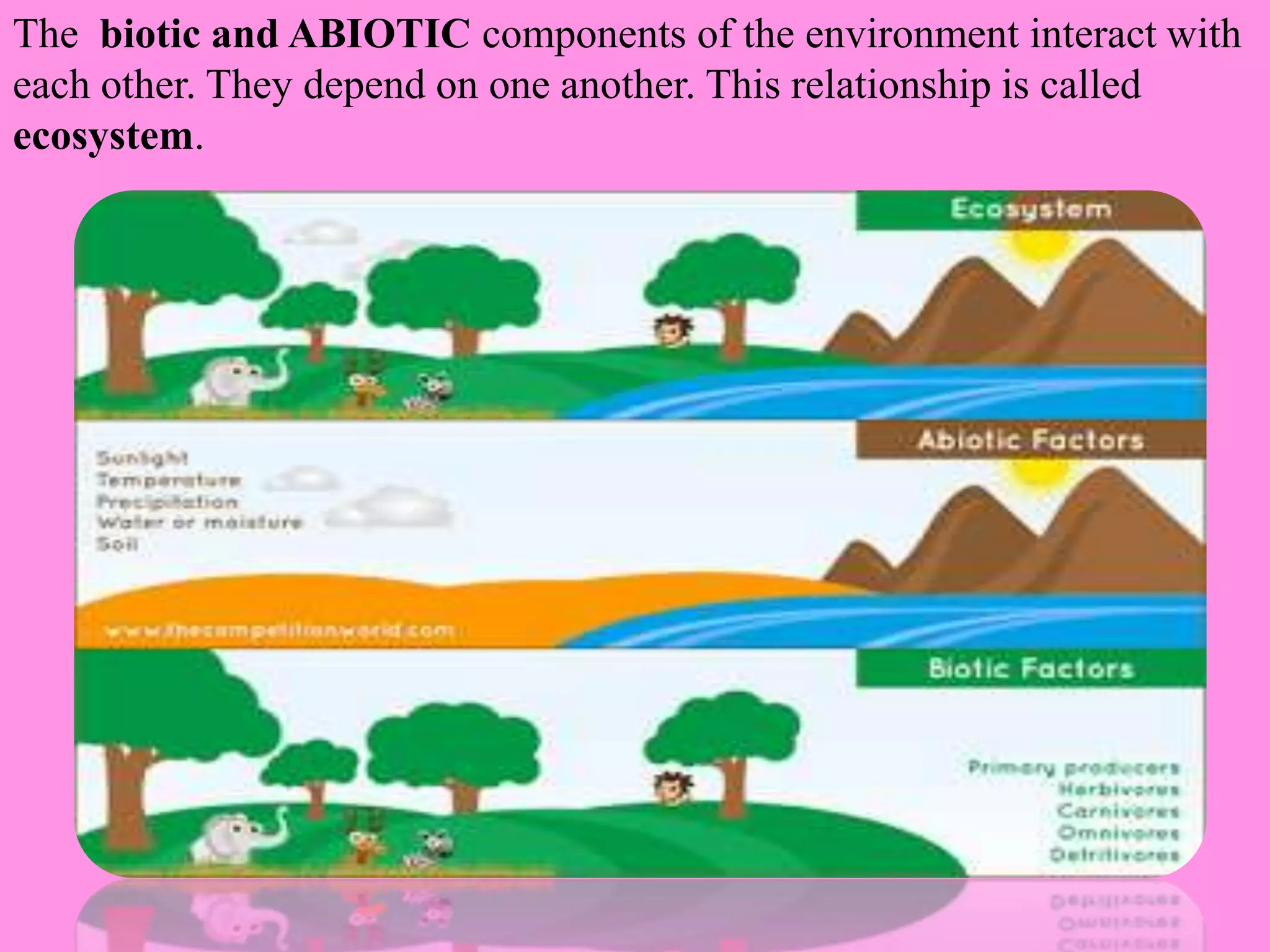 WEB OF LIFE ENVIRONMENTAL STUDIES CLASS III-CBSE | PPTX
