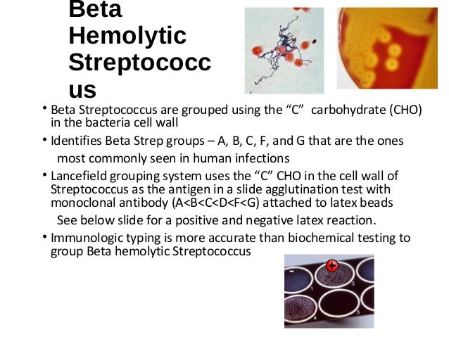 Bacteriology 2017 Update