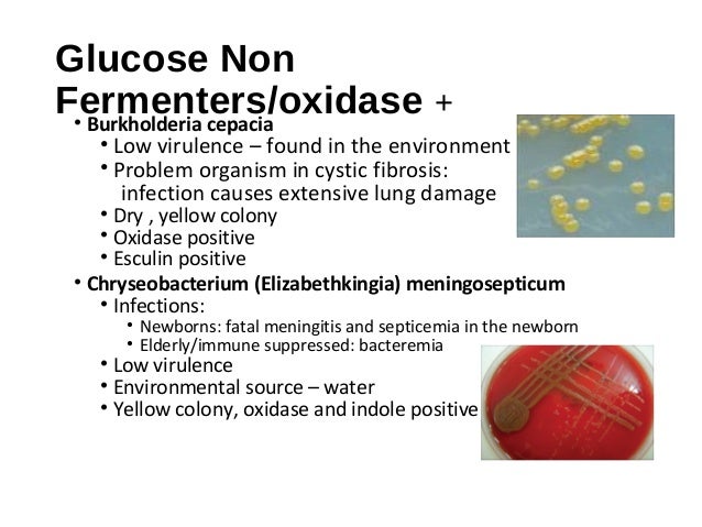Bacteriology 2017 Update