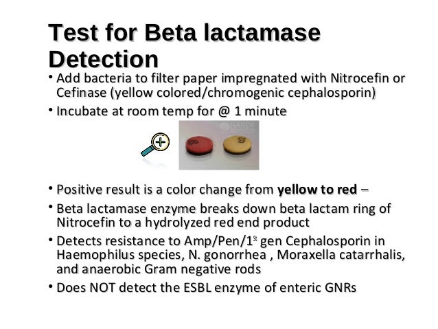 Bacteriology 2017 Update
