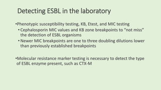Susceptibility 2023 | PPT
