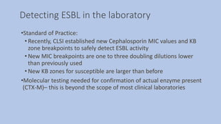 Antibiotic Sensitivity Testing 2020 Update | PPT