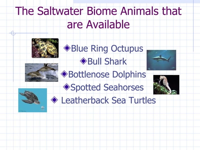 Webquest: Zoo Exhibit Design | PPT | Zoos & Aquariums | Attractions