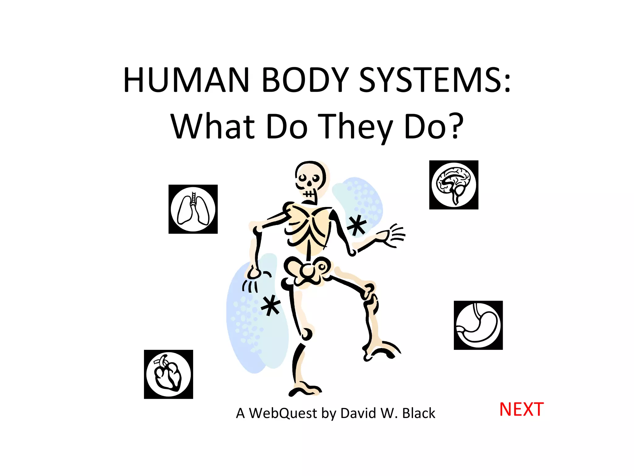 Human Body Systems WebQuest | PPT
