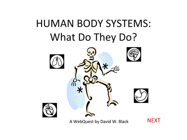 Human Body Systems WebQuest | PPT