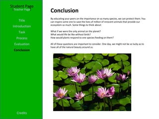 Webquest for endangered species | PPT | Environment | Science