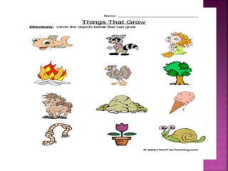 Web quest activity | PPTX