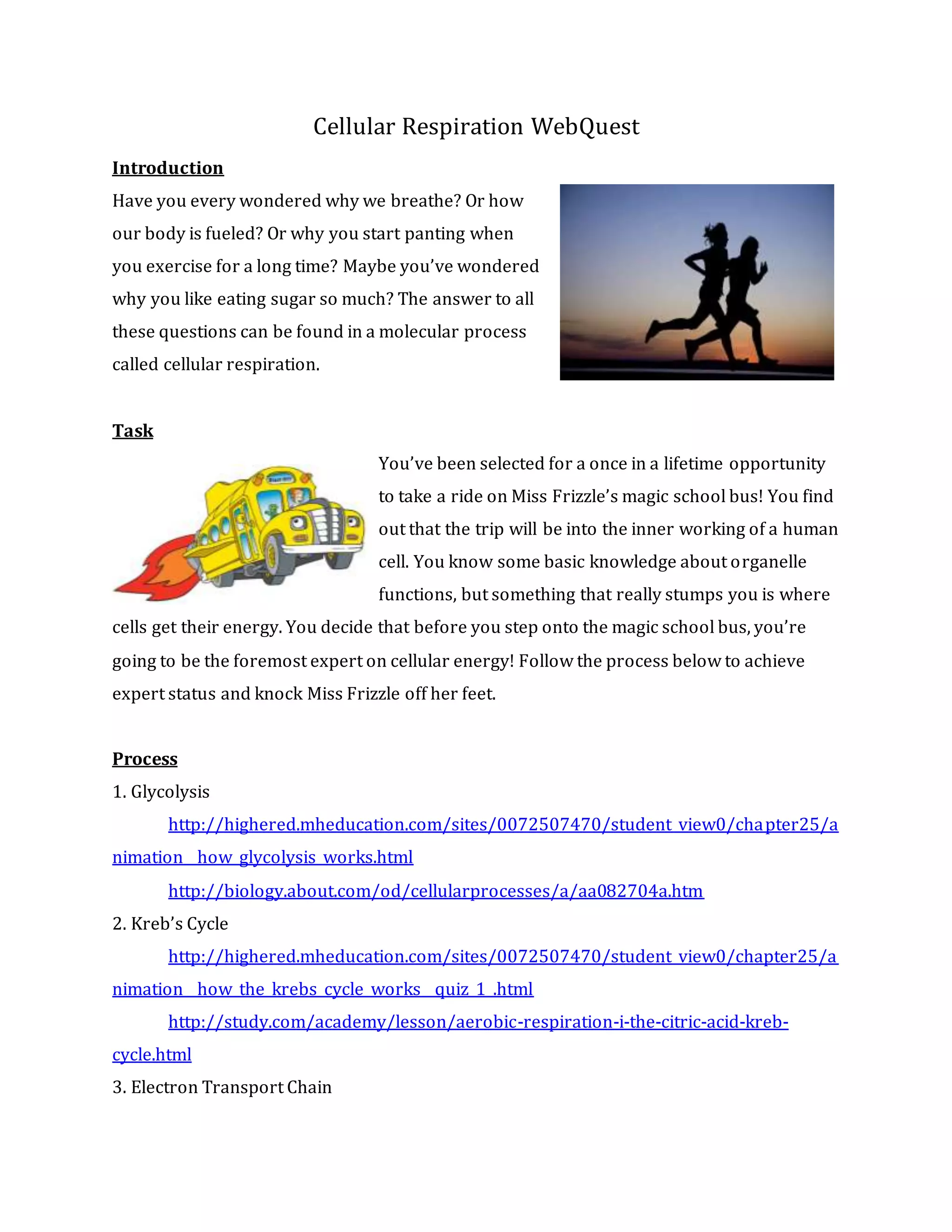 Cellular Respiration WebQuest | PDF