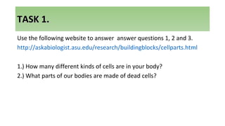 Webquest ii task 1 | PPT | Biological Sciences | Science