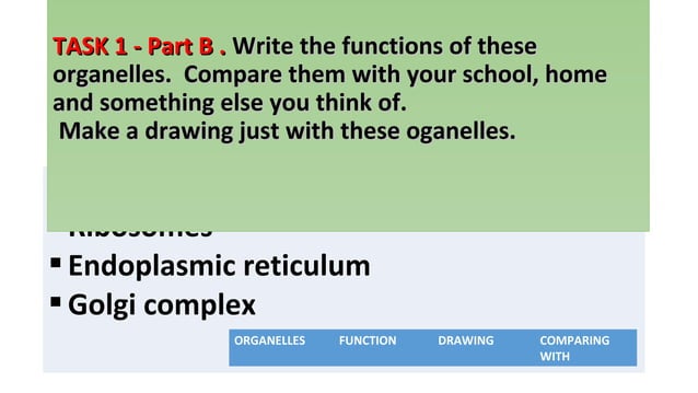 Webquest ii task 1 | PPT | Biological Sciences | Science