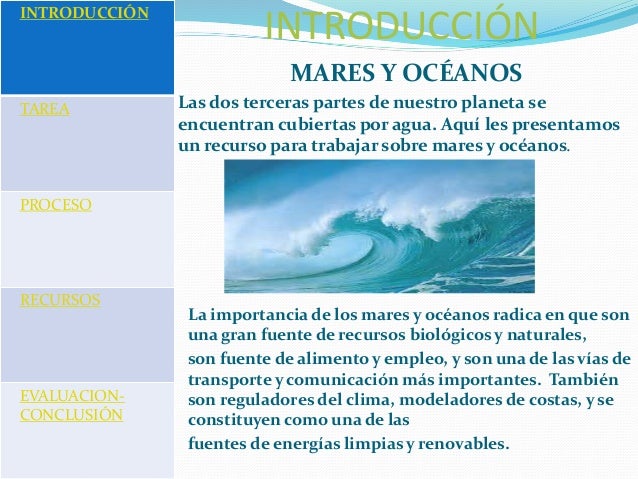 Qué Son Los Mares _ Biomas marinos: qué son, características, tipos ...
