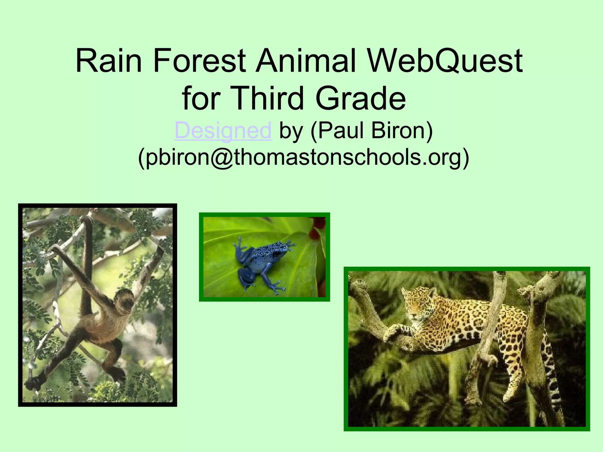 Web Quest Rainforest | PPT