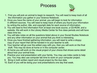 Web Quest Rainforest | PPT