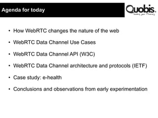 WebRTC DataChannels demystified | PPT