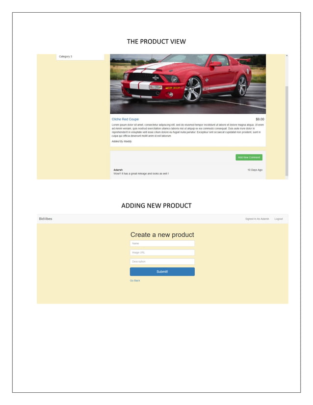 Web Security Report | PDF