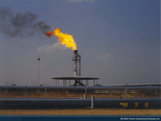 Flare Gas | PPT