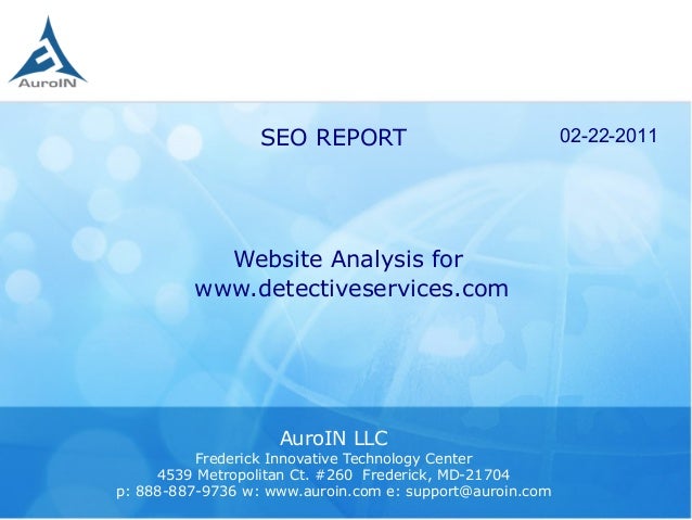 website-analysis-report