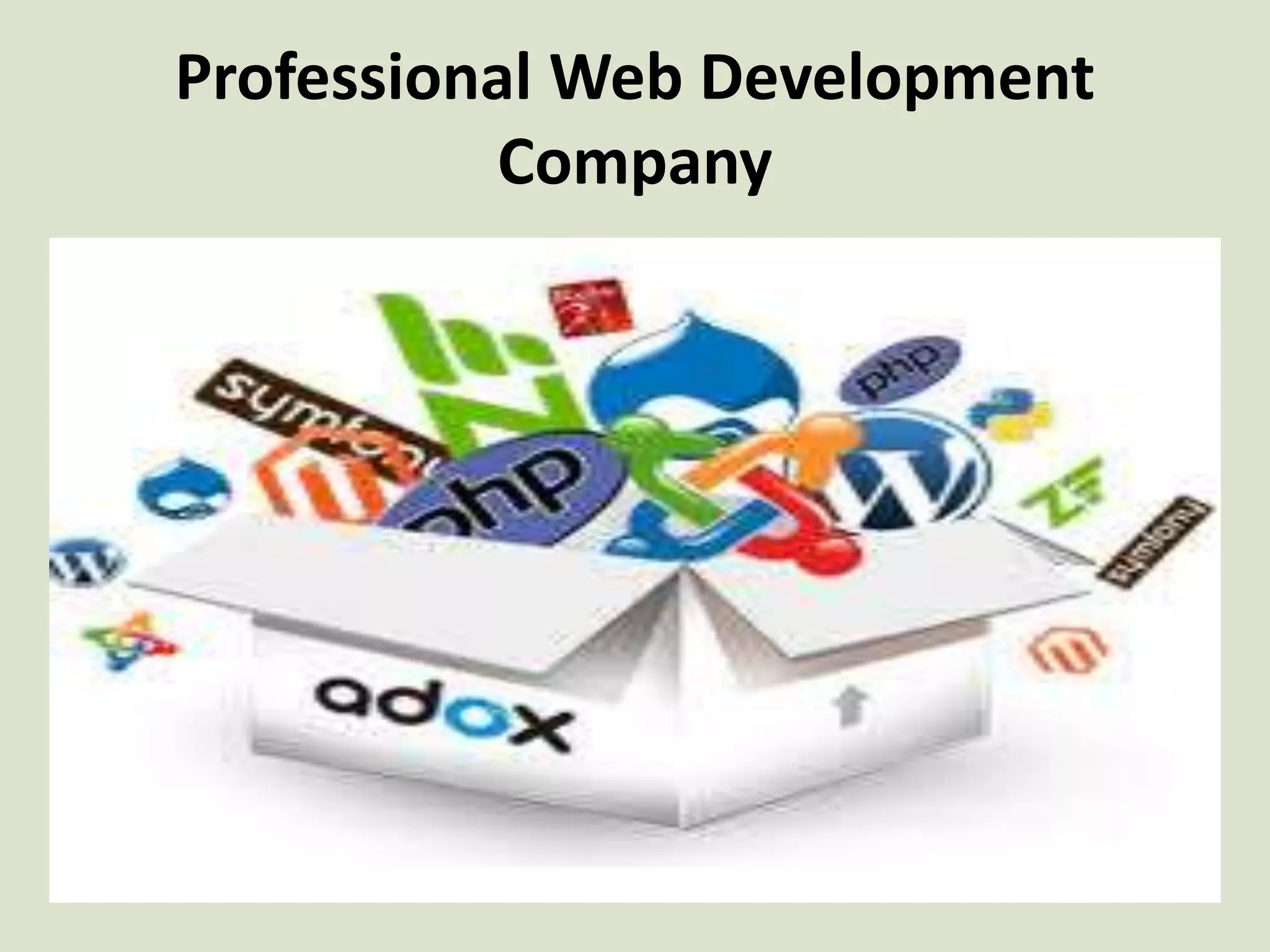 Website application developers | PPTX