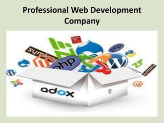 Website application developers | PPT