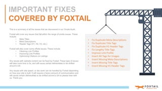 Foxtail Website Audit | PPTX | Web Design and HTML | Internet