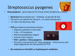 Bacteriology | PPT