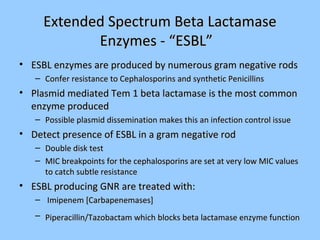 Bacteriology | PPT